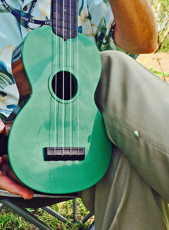 Ukulele Bug – Eskildoodle Photos and Feelings