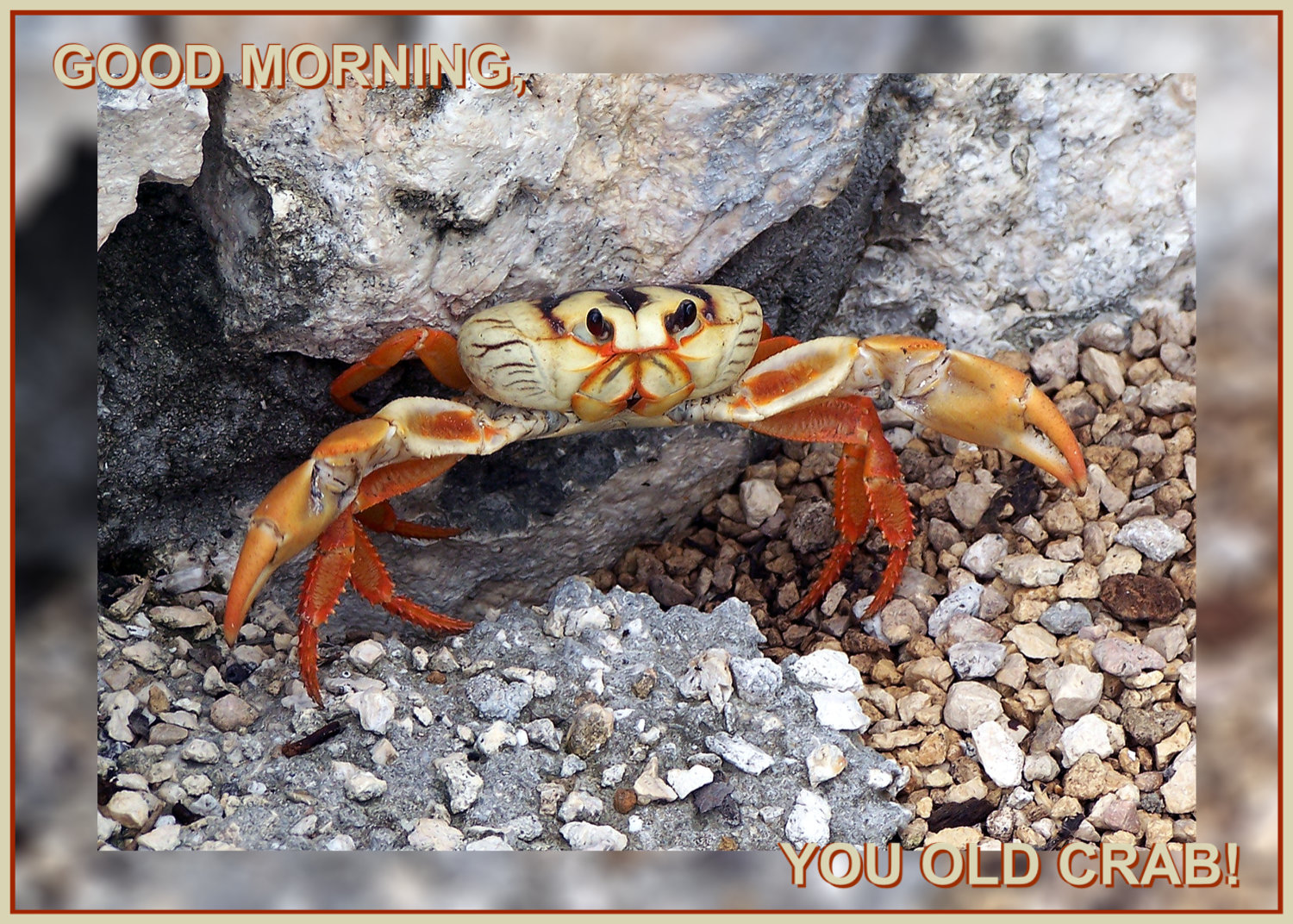 Happy Monday – Eskildoodle Photos and Feelings