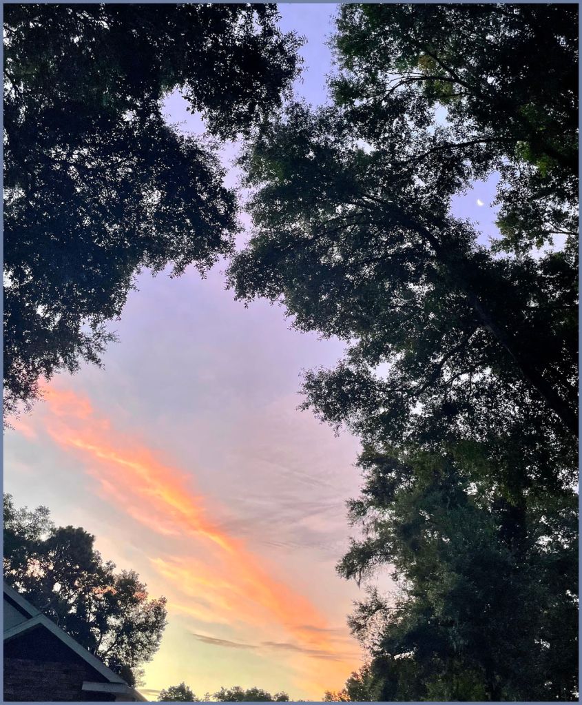 Crescent Dawn – Eskildoodle Photos and Feelings